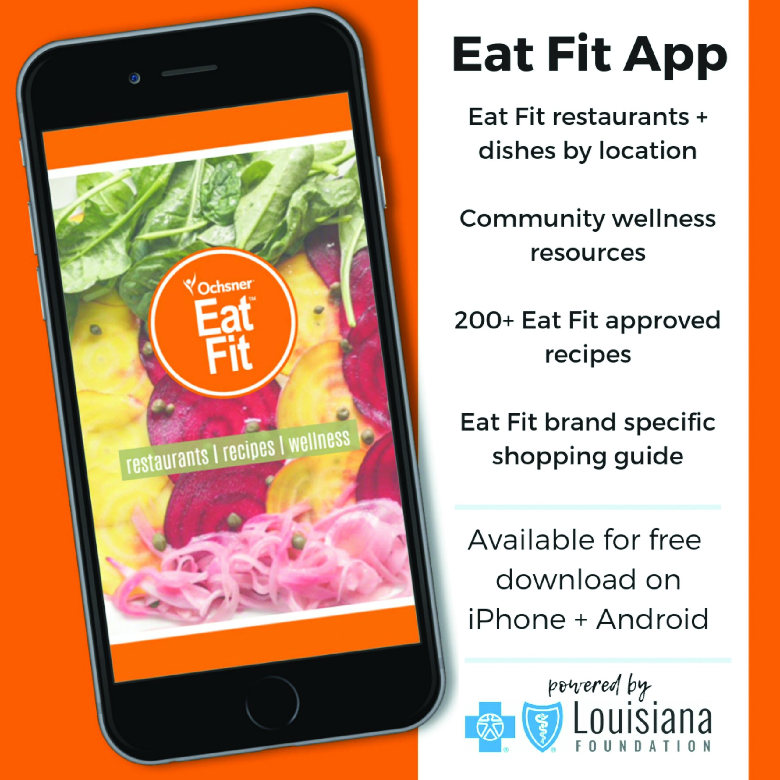 Eat Fit Louisiana | Lola Magazine