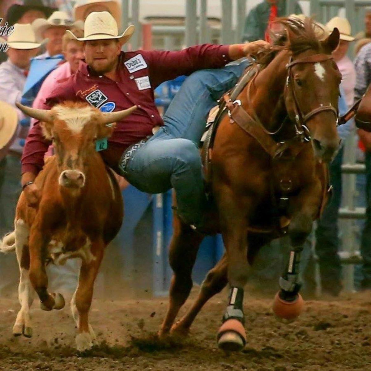 Jacob Talley: An American Cowboy From Tragedy to Triumph | Lola Magazine