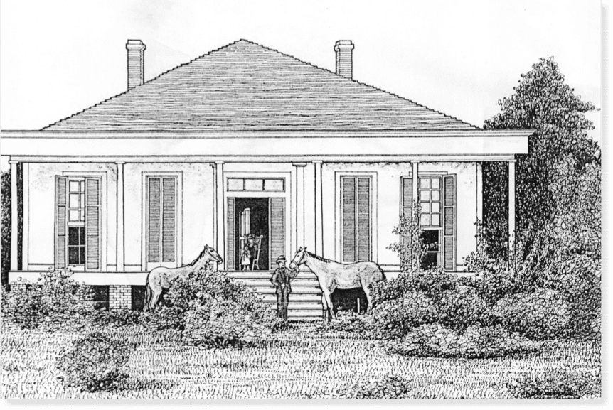 A drawing from a photo of The Benard House | Lola Magazine